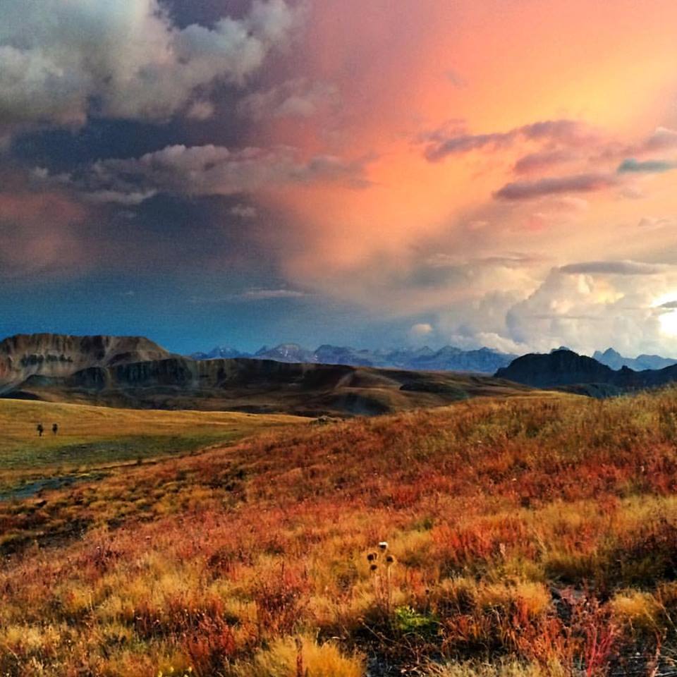 The Wild Places: A Necessity – over the next ridge